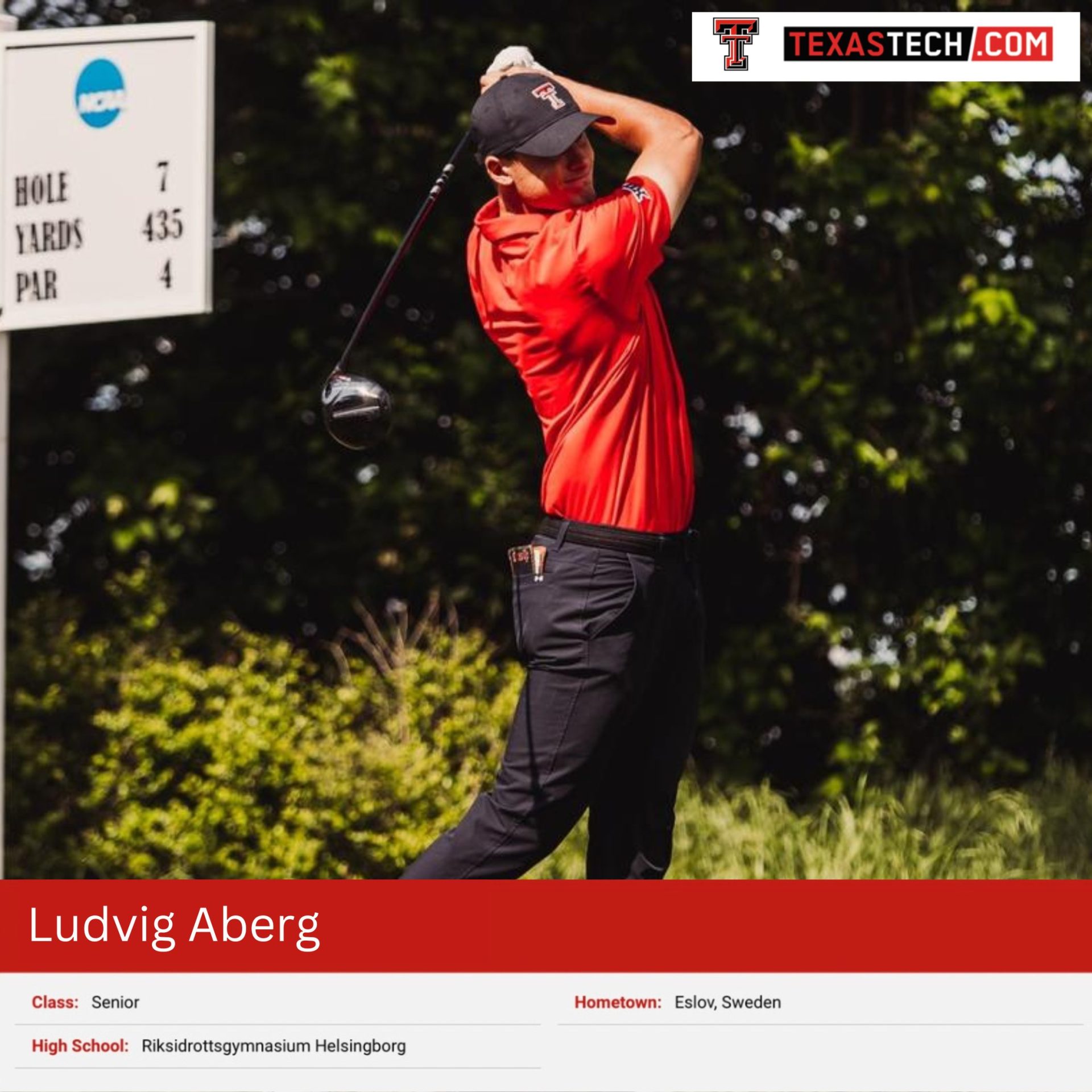 Golf Profiles: Ludvig Åberg - From World No.1 Amateur to Pro Debut in ...